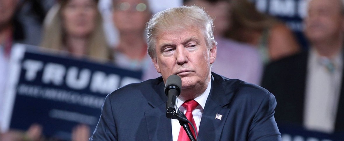 Ma Donald Trump è un meme? - Treccani