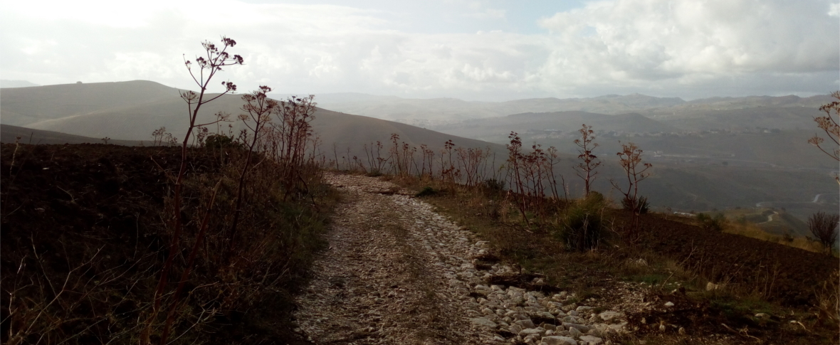 Le trazzere: monumenti silenziosi - Treccani