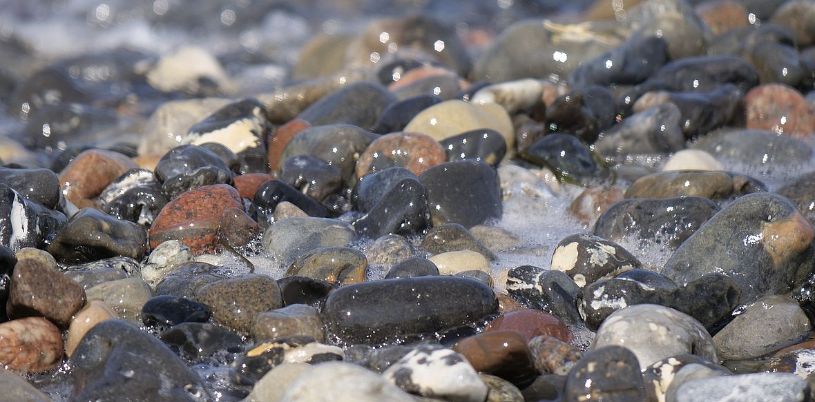 Il mare è rotondo, Elvis Malaj - Treccani